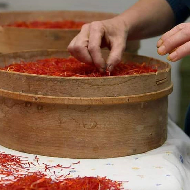 Essensaciones | Spanish products Import